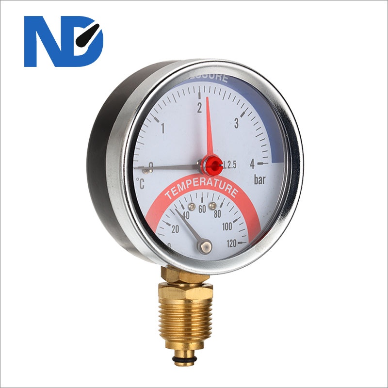Combined thermo-pressure gauge