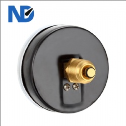 Combined thermo-pressure gauge